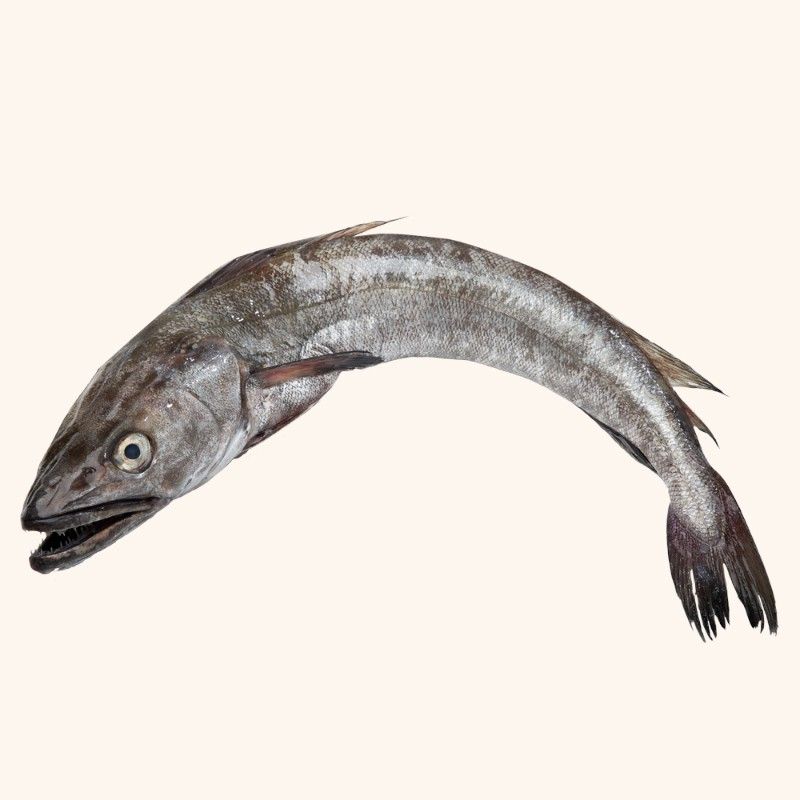 Nuggets de Merluza de pincho 400g | Pescado Ideal para niños — Pesco ...